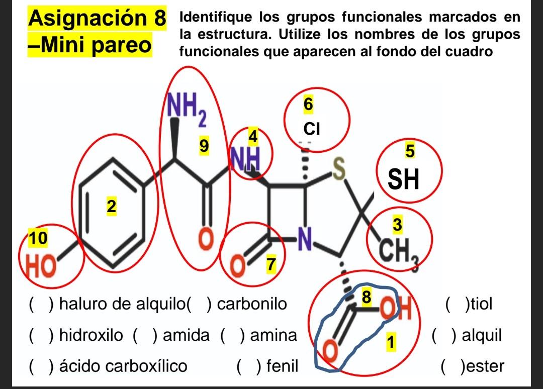 Solved Asignación 8 Identifique los grupos funcionales | Chegg.com