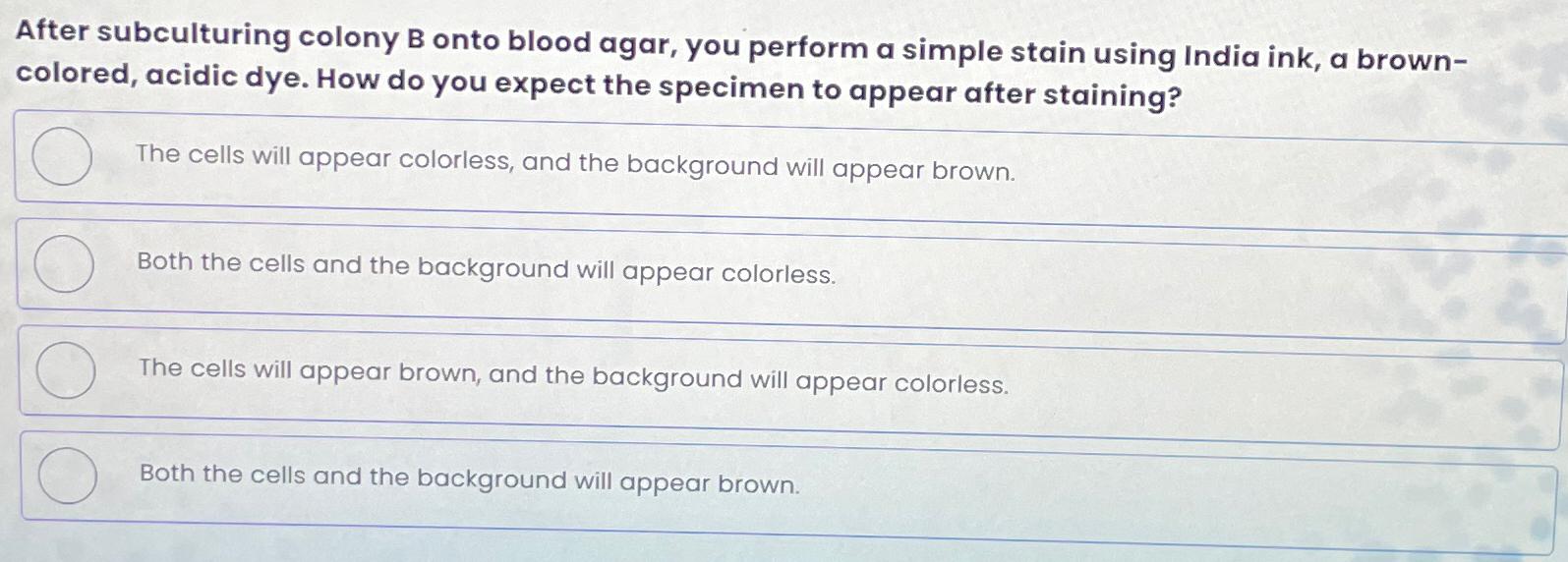 Solved After subculturing colony B onto blood agar, you | Chegg.com