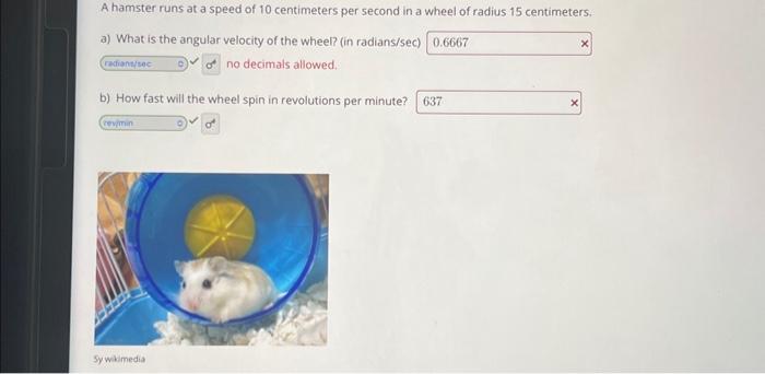 Solved A hamster runs at a speed of 10 centimeters per | Chegg.com