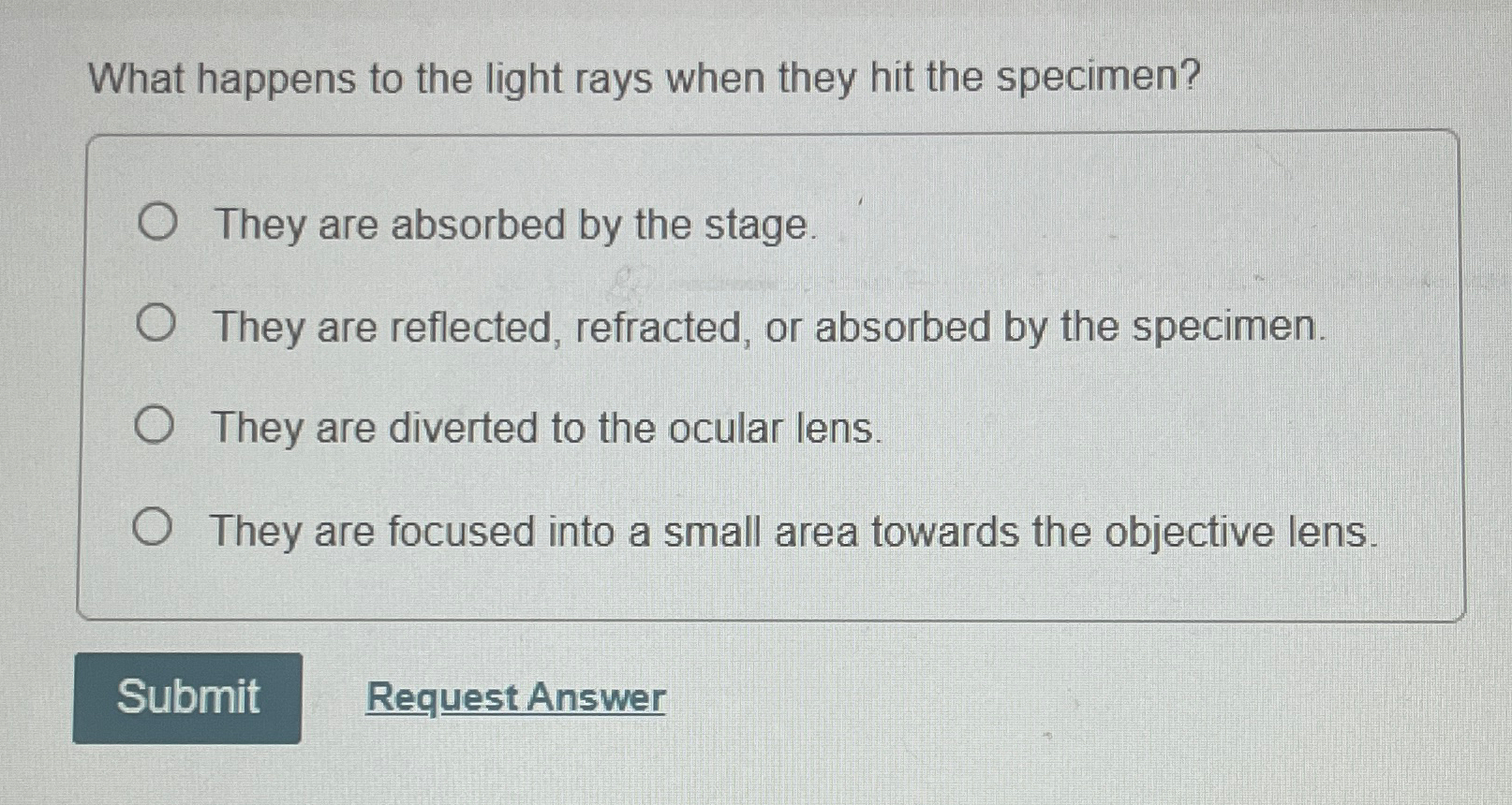 Solved What happens to the light rays when they hit the | Chegg.com
