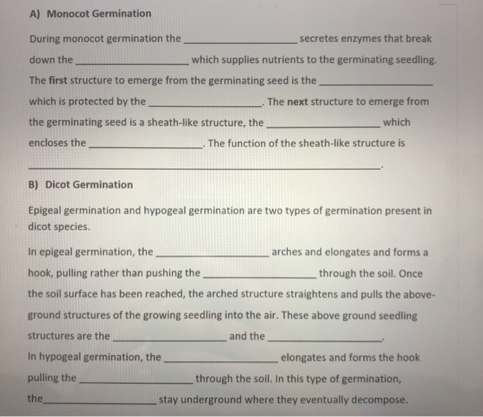 Solved A) Monocot Germination During monocot germination the | Chegg.com Solved A) Monocot Germination During monocot germination the | Chegg.com