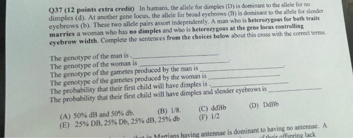 Solved Q37 (12 points extra credit) In humans, the allele | Chegg.com