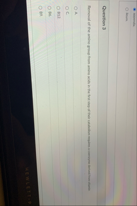 Solved appendix.ileum.Question 3Removal of the amino group | Chegg.com