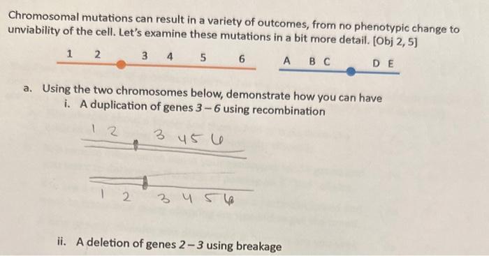 Solved Chromosomal mutations can result in a variety of | Chegg.com