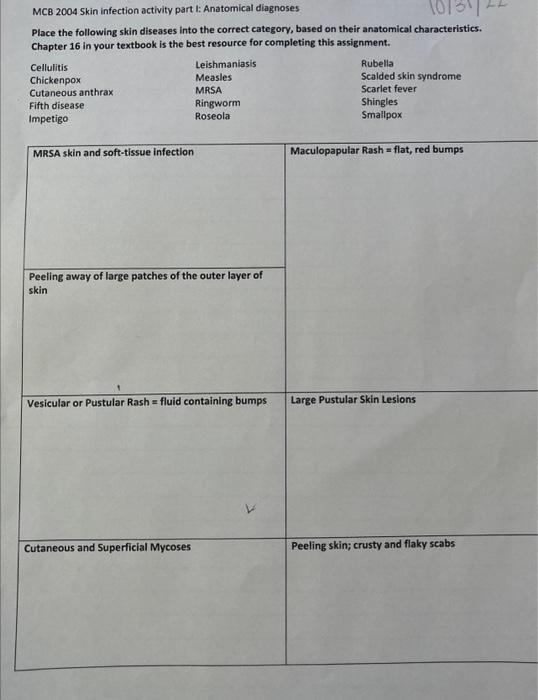 Solved MCB 2004 Skin infection activity part l: Anatomical | Chegg.com