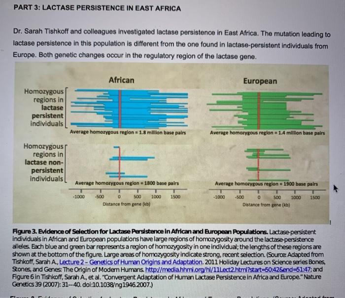 Solved PART 3: LACTASE PERSISTENCE IN EAST AFRICA Dr. Sarah | Chegg.com