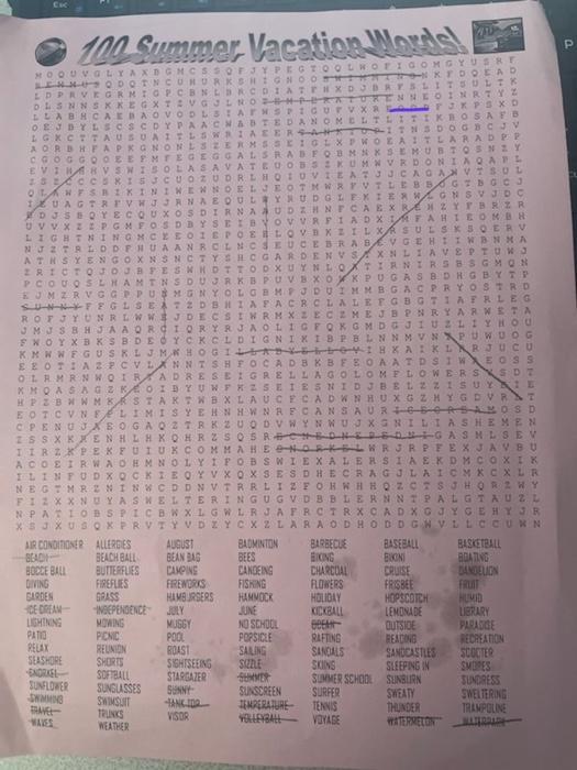 Solved CIC 220 100 Summer Vacation Words Chegg