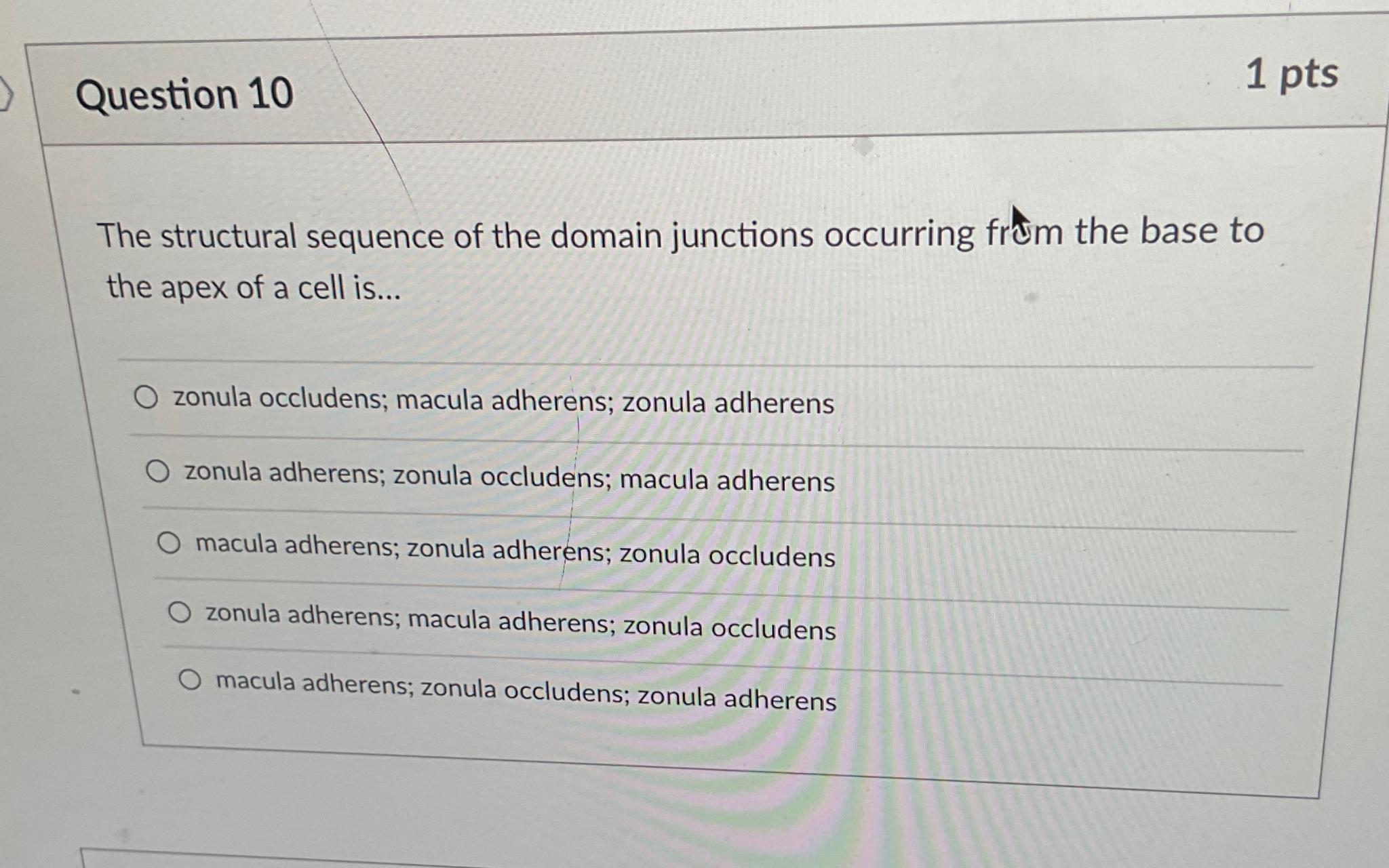 Solved Question 101 ﻿ptsThe structural sequence of the | Chegg.com