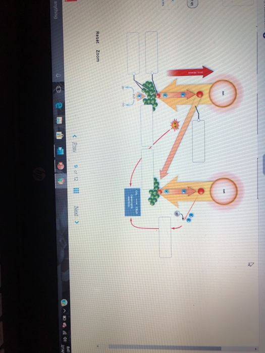 Solved Label the diagram showing the path of electrons | Chegg.com