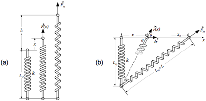 When a spring with spring constant k is stretched by | Chegg.com