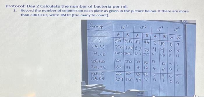 Protocol: Day 2 Calculate the number of bacteria per | Chegg.com
