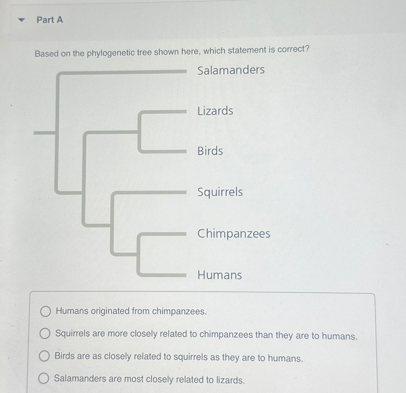 Solved Part ABased on the phylogenetic tree shown here, | Chegg.com