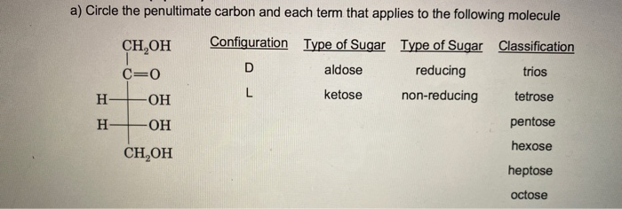 Solved a) Circle the penultimate carbon and each term that | Chegg.com