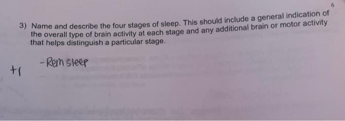 Solved what are the four stages of the sleep cycle and a | Chegg.com