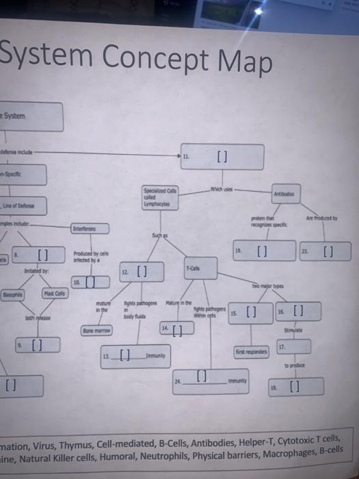 Solved Immune System Concept Map EL [1 [] Il [] Why ] [] the | Chegg.com