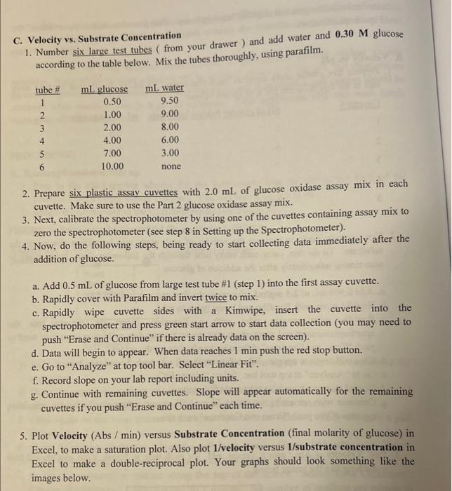 In part C of the experiment (velocity vs substrate | Chegg.com