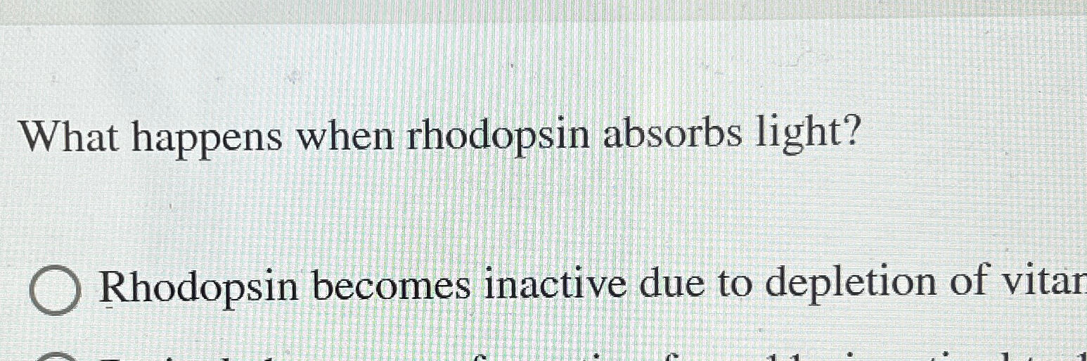 Solved What happens when rhodopsin absorbs light?Rhodopsin | Chegg.com