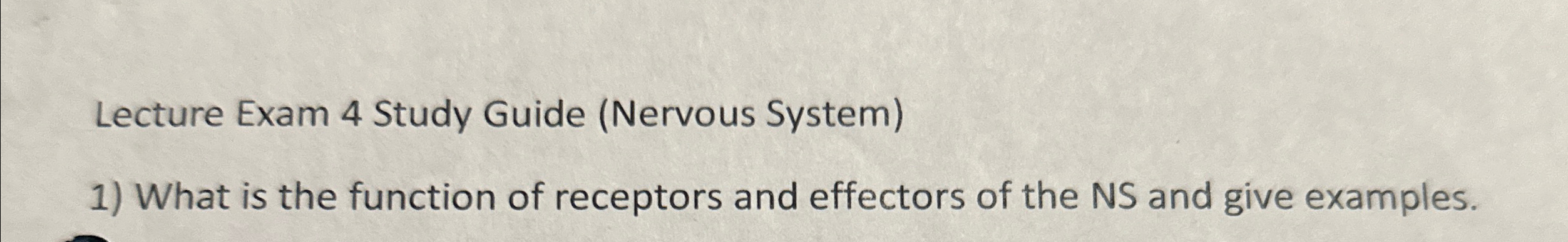Solved Lecture Exam 4 ﻿Study Guide (Nervous System)What is | Chegg.com