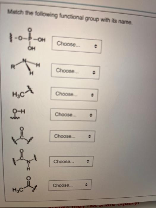 Solved Match the following functional group with its | Chegg.com