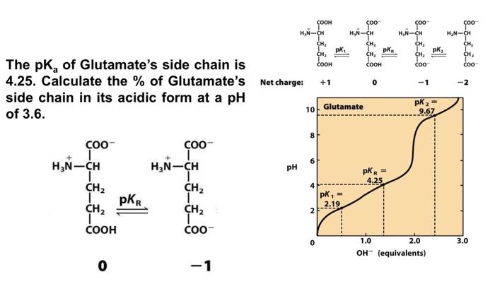 Solved The pKa of Glutamate's side chain is 4.25. Calculate | Chegg.com