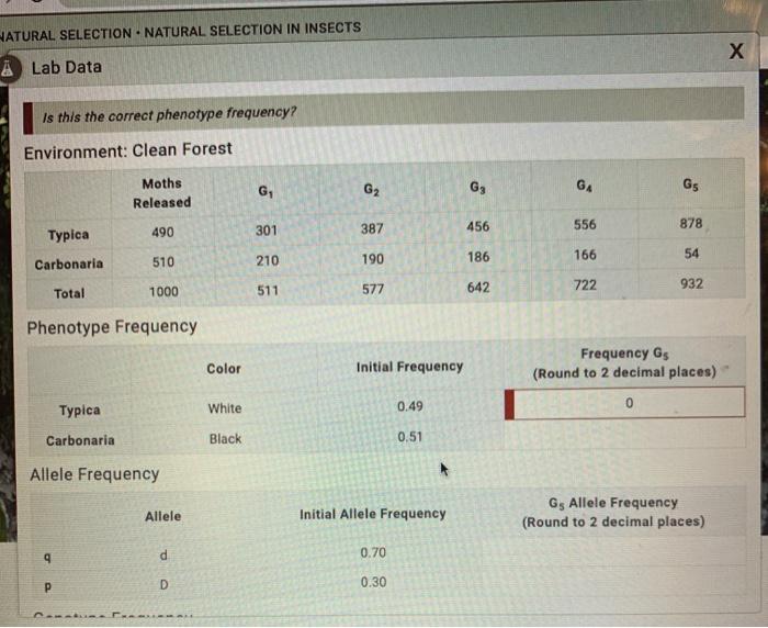 Solved Natural Selection Natural Selection In Insects х A