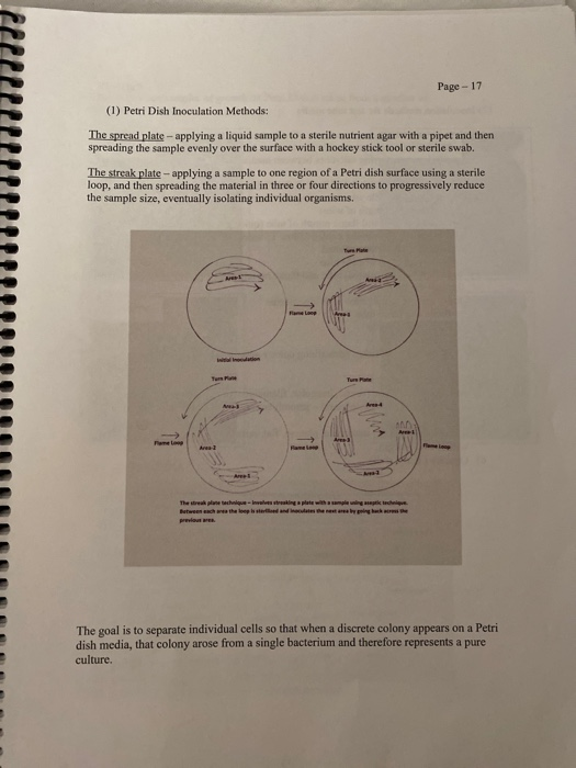 LAB 4 UBIQUITY OF MICROORGANISMS Lab - 4A Laboratory | Chegg.com