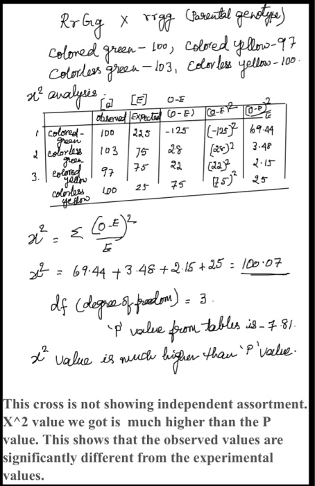 Solved In com, colored aleurone (R) is dominato colorless | Chegg.com