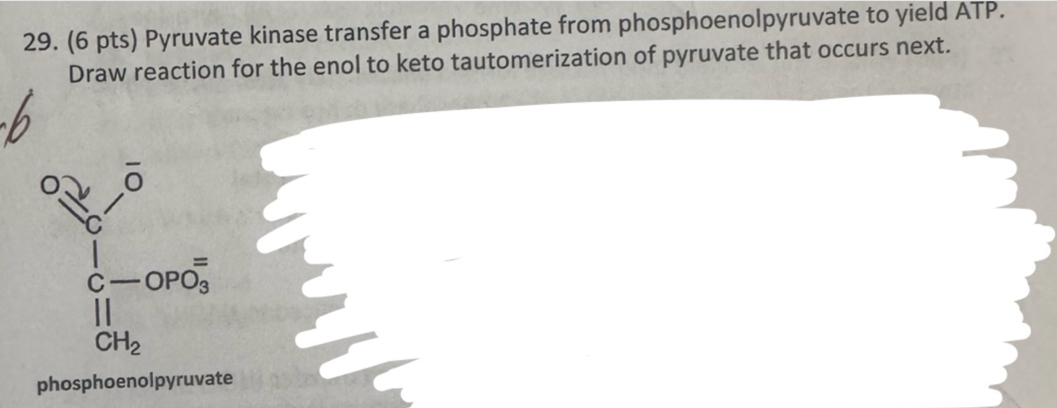 Solved 29. ( 6 ﻿pts) ﻿Pyruvate kinase transfer a phosphate | Chegg.com