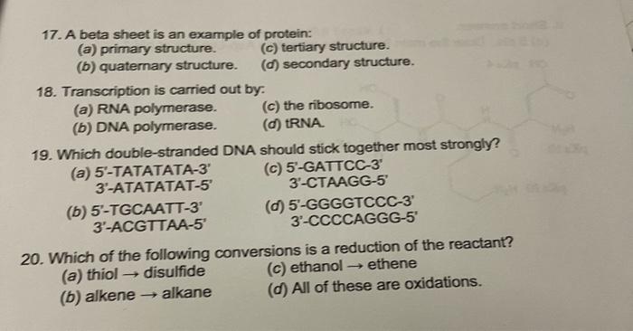 Solved 17. A beta sheet is an example of protein: (a) | Chegg.com