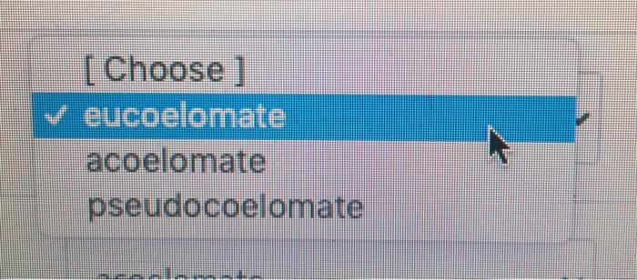 Solved A Identify the acoelomates, pseudocoelomates, and | Chegg.com