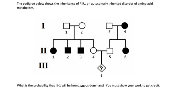 Solved The pedigree below shows the inheritance of PKU, an | Chegg.com