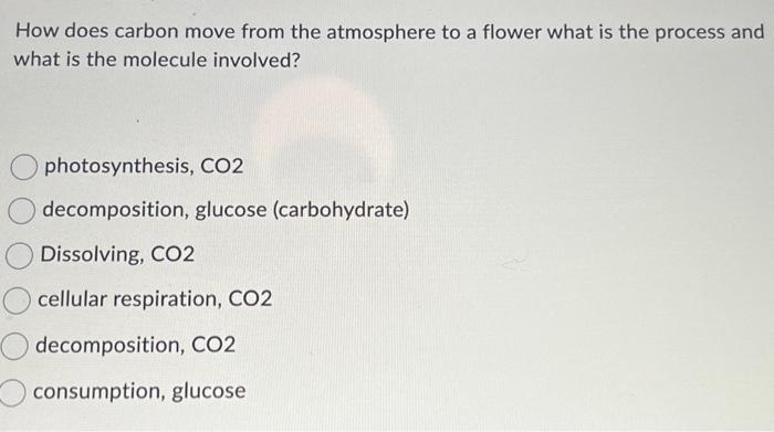 Solved How does carbon move from the atmosphere to a flower | Chegg.com