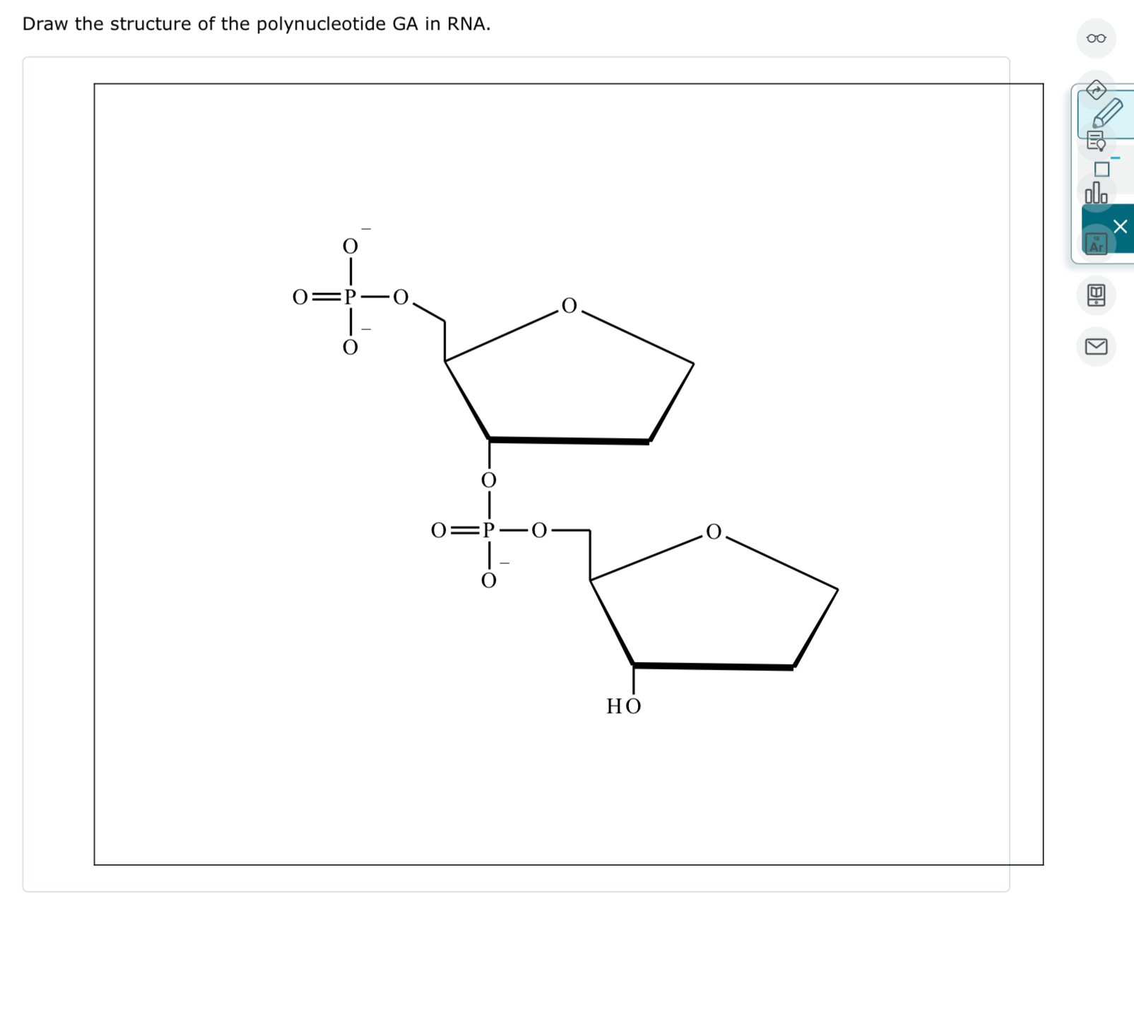 Solved Draw the structure of the polynucleotide GA in | Chegg.com