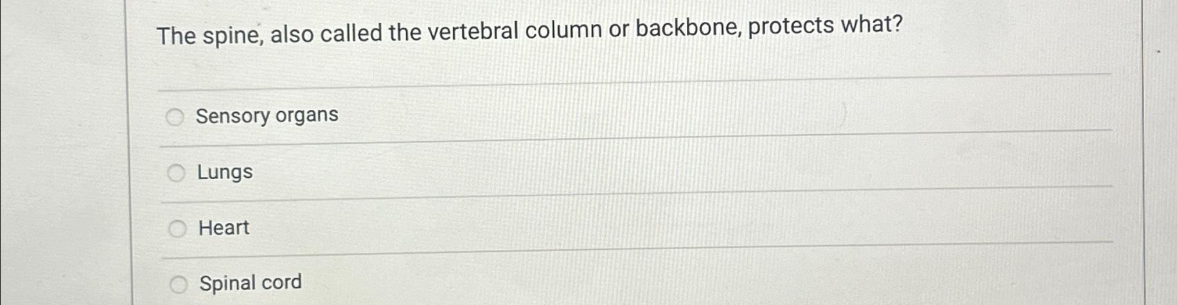 Solved The spine, also called the vertebral column or | Chegg.com