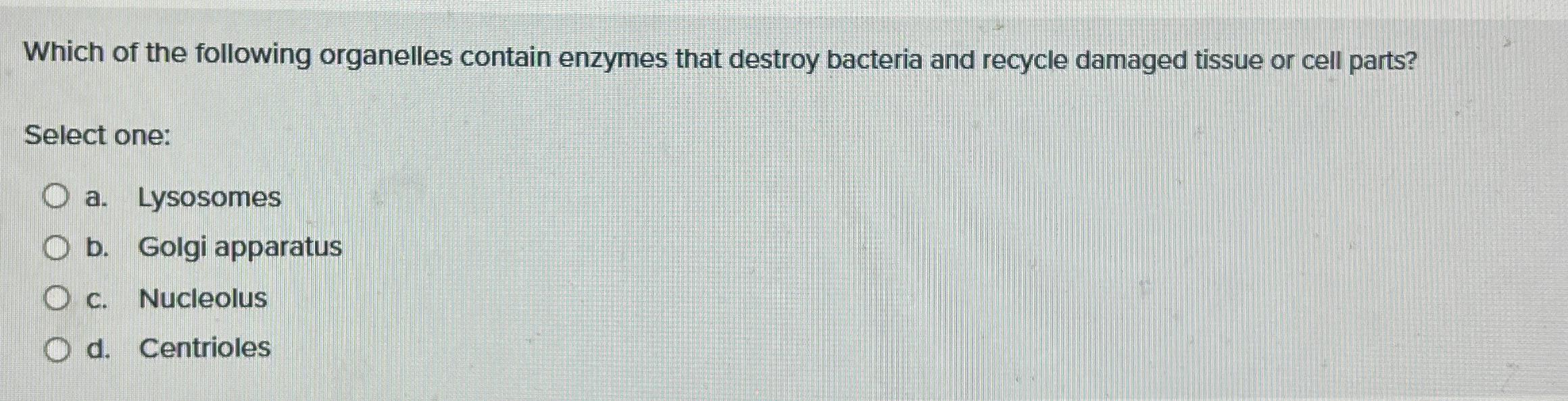 Solved Which of the following organelles contain enzymes | Chegg.com
