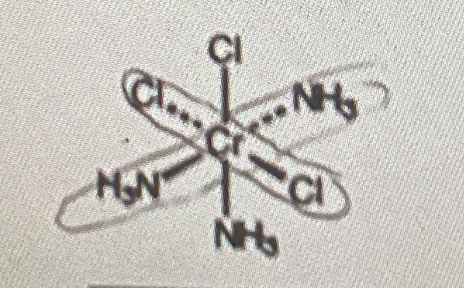 Solved Determine point group for each molecule | Chegg.com