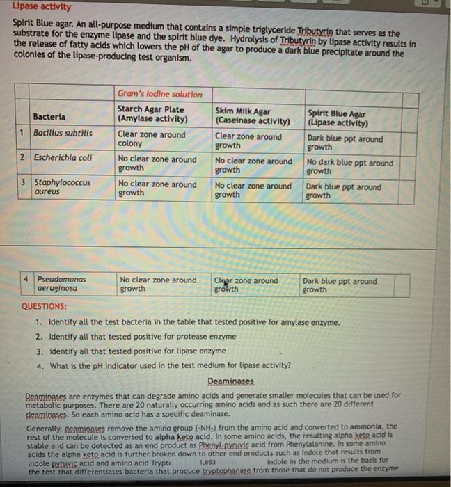Solved Lipase activity Spirit Blue agar. An all-purpose | Chegg.com
