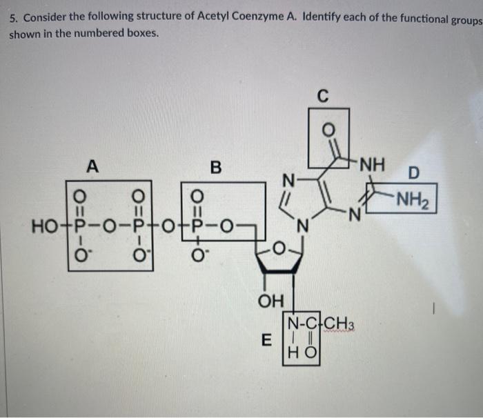 Solved 5. Consider the following structure of Acetyl | Chegg.com