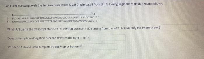 Solved An E. coli transcript with the first two nucleotides | Chegg.com