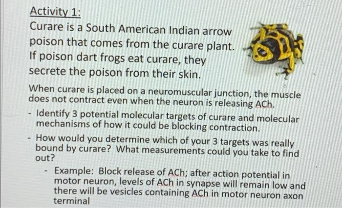 Solved Activity 1: Curare is a South American Indian arrow | Chegg.com