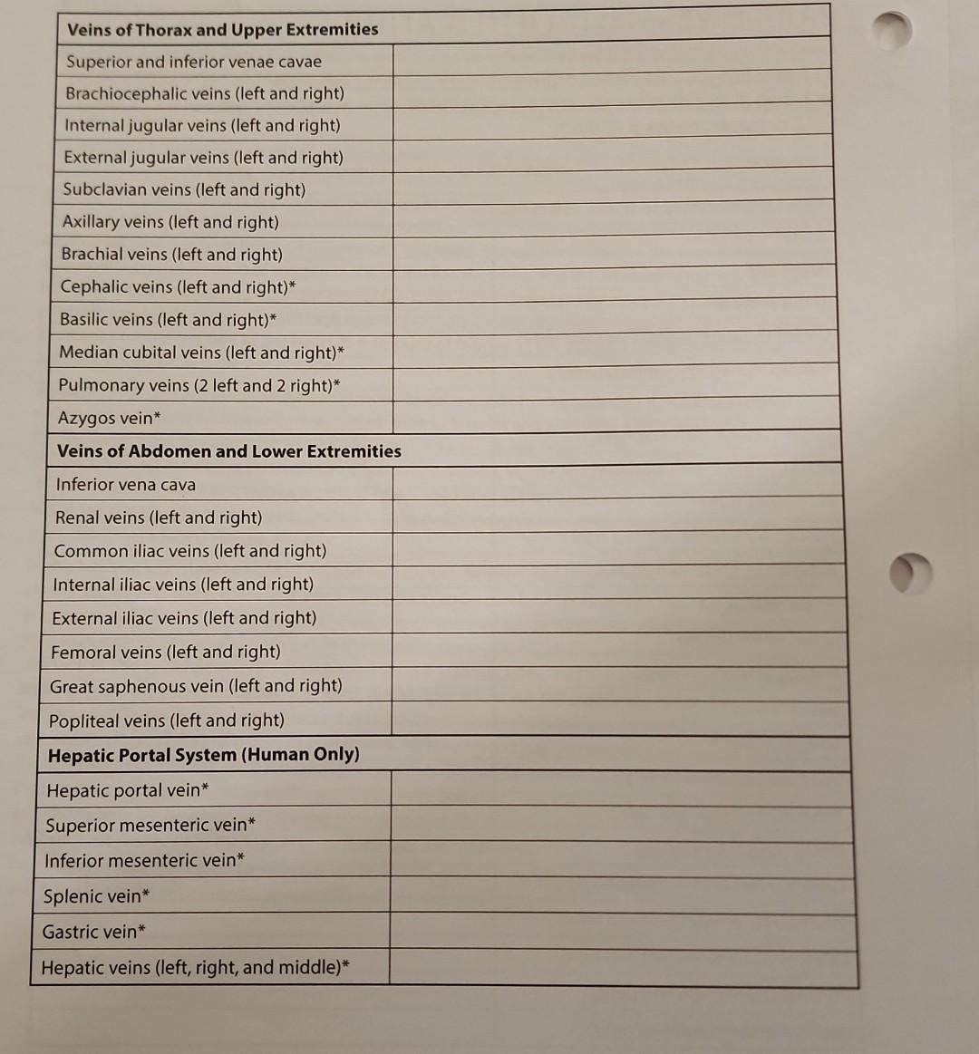 Solved PART I: VESSEL IDENTIFICATION Using dissection | Chegg.com