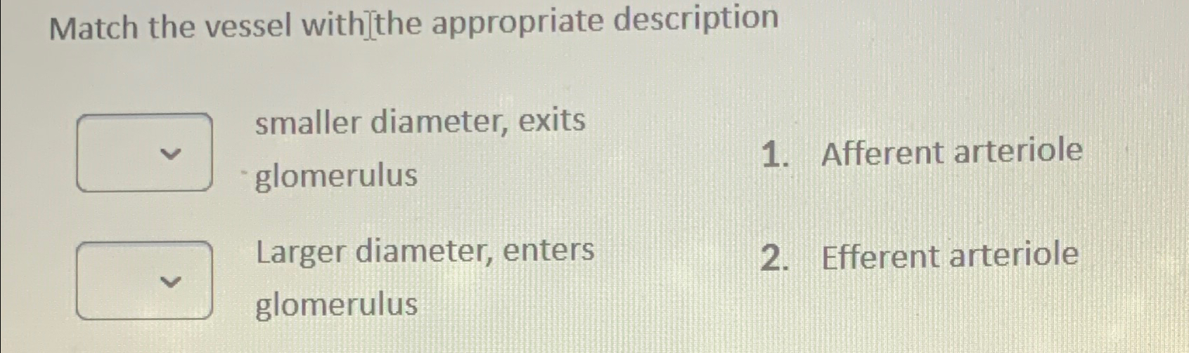 Solved Match the vessel withithe appropriate description | Chegg.com