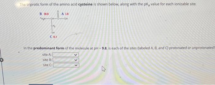 Solved The triprotic form of the amino acid cysteine is | Chegg.com