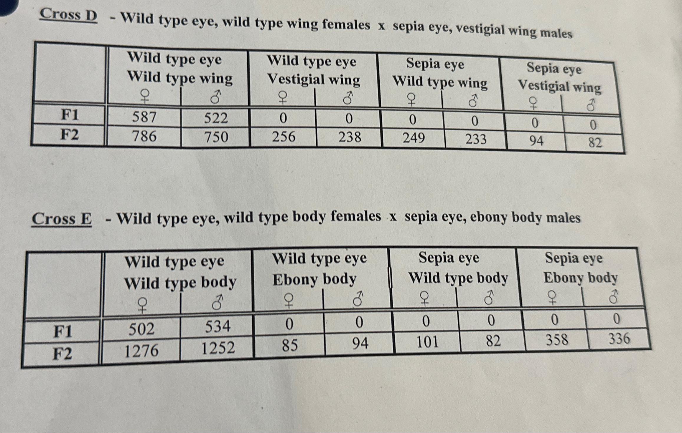 Cross D - ﻿Wild type eye, wild type wing females x | Chegg.com