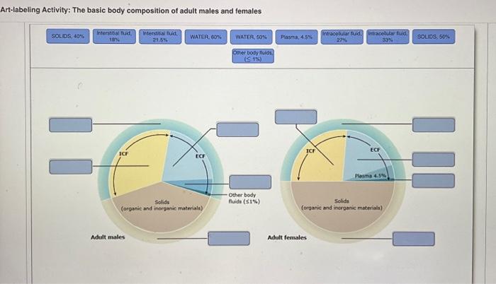 Solved Art-labeling Activity: The basic body composition of | Chegg.com