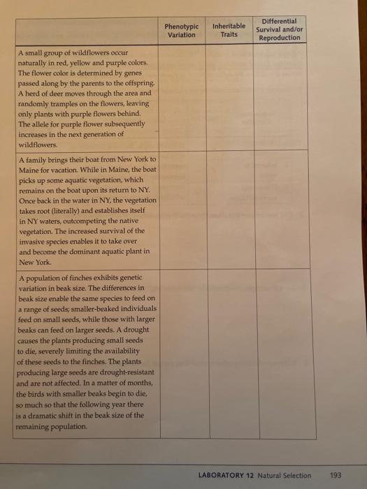 Solved Phenotypic Variation Inheritable Traits Differential | Chegg.com