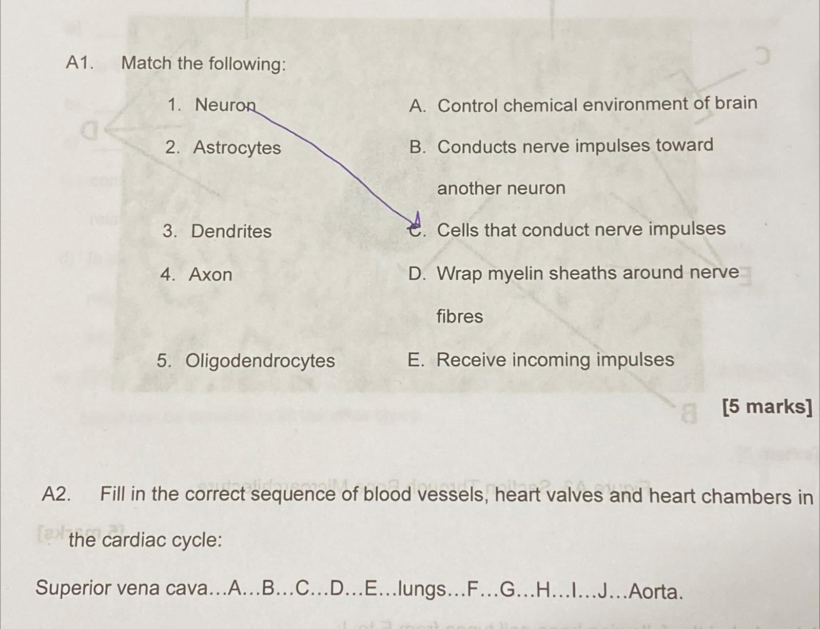 Solved A1. ﻿Match the | Chegg.com