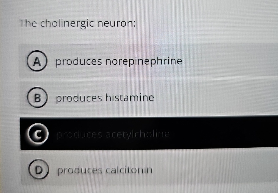 Solved The cholinergic neuron:produces | Chegg.com
