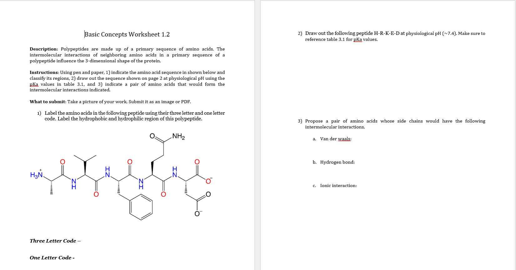 Basic Concepts Worksheet 1.2Description: Polypeptides | Chegg.com