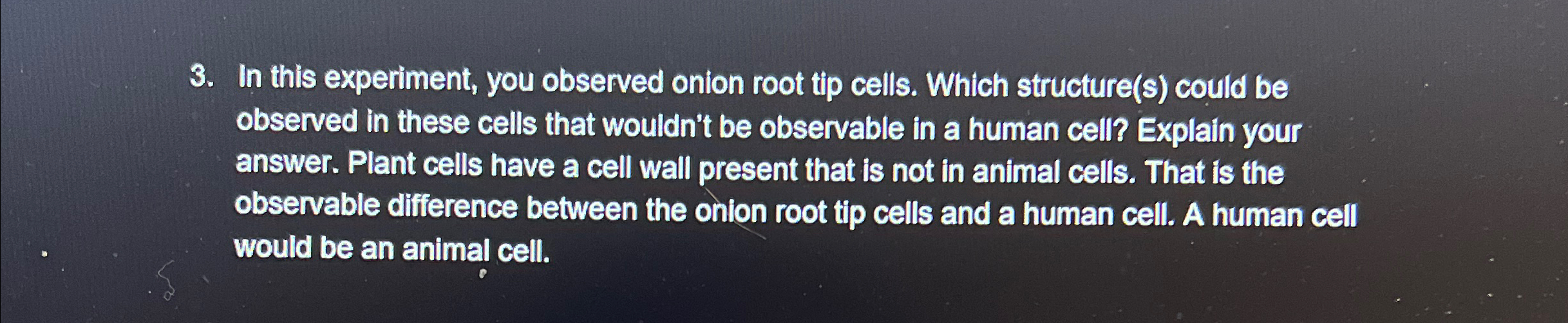 Solved In this experiment, you observed onion root tip | Chegg.com